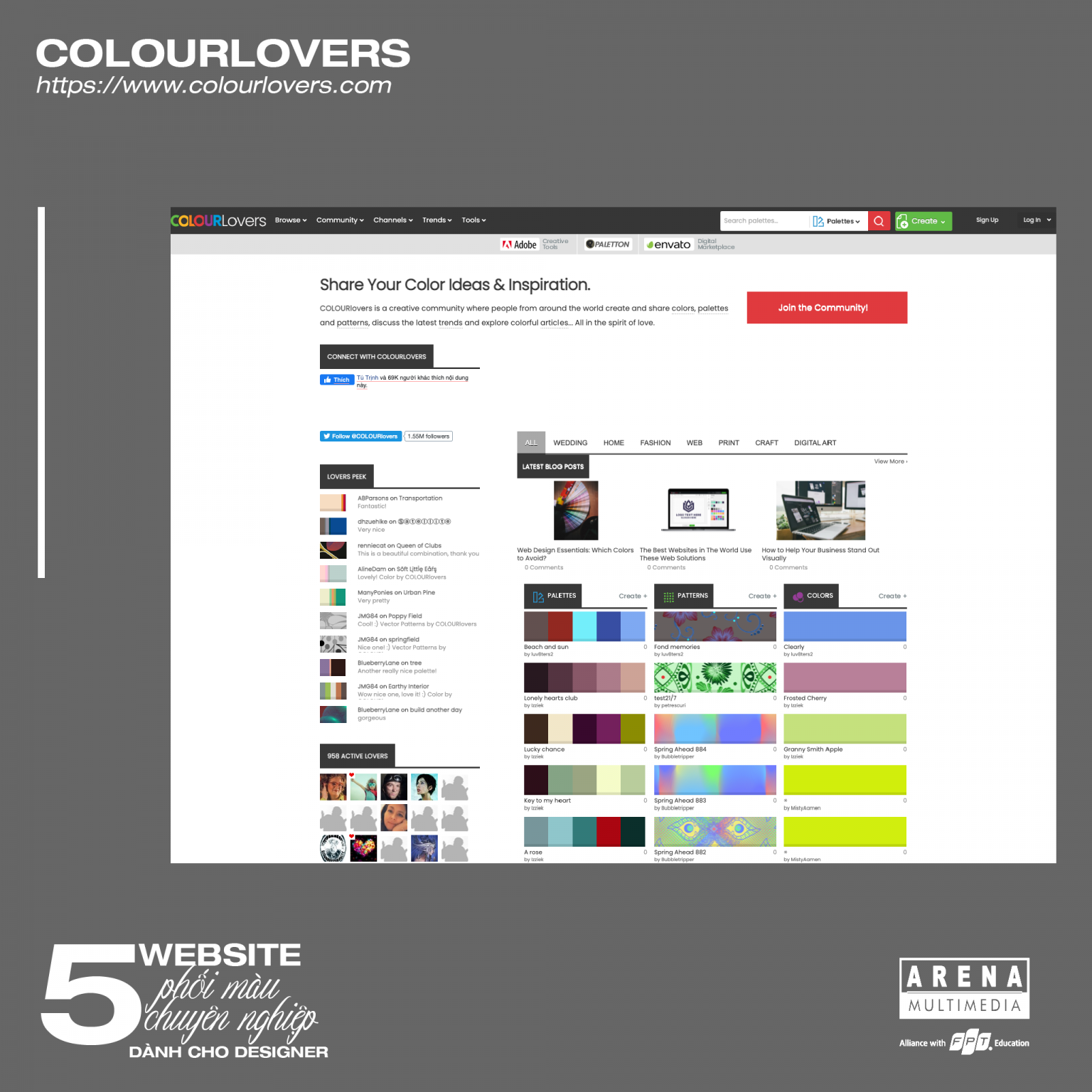 5 website phối màu chuyên nghiệp dành cho Designer