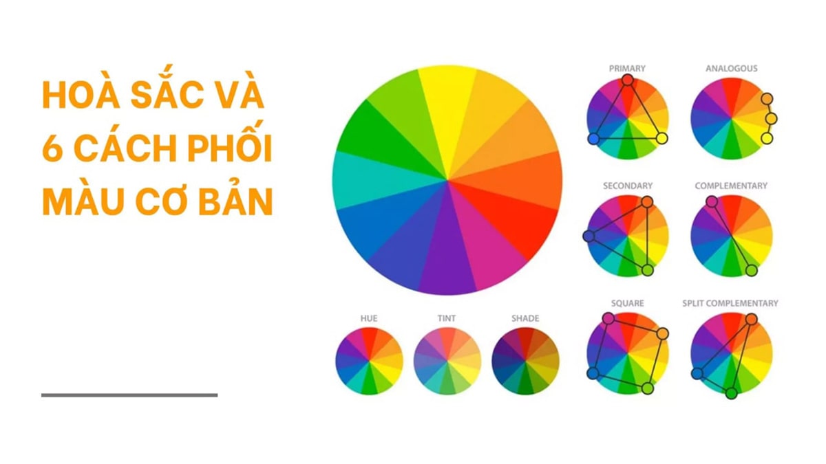 Vòng tròn màu sắc là gì? Các phương pháp phối màu phổ biến